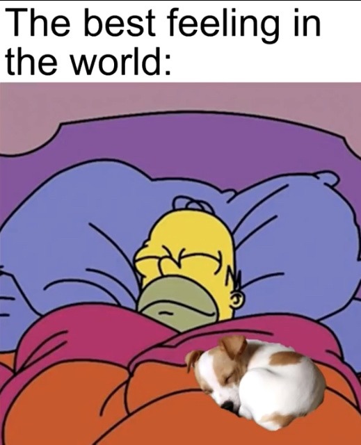 wholesome 100 - Meme by elpico994 :) Memedroid