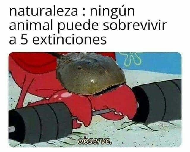 Top memes de Naturaleza en español :) Memedroid