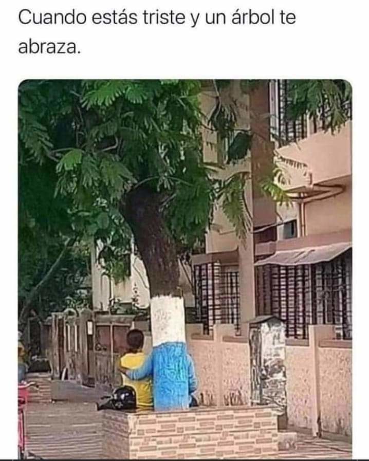 Top memes de Arbol en español :) Memedroid