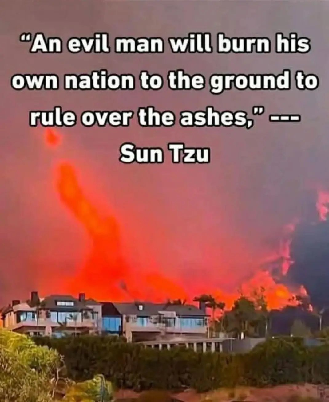 The Latest Memes :) Memedroid