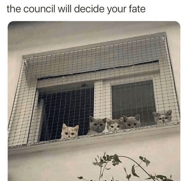 The best Council memes :) Memedroid