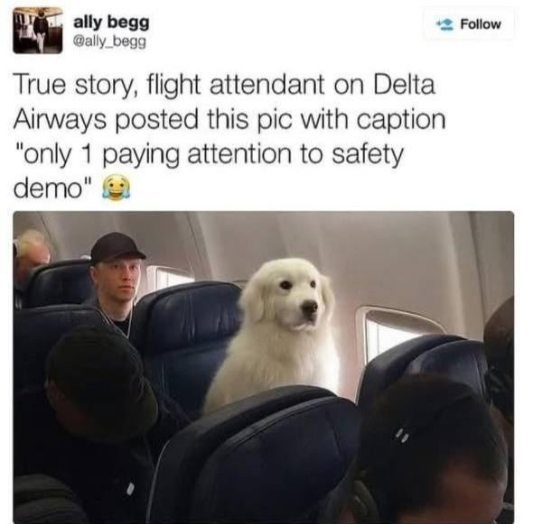The best Delta memes :) Memedroid