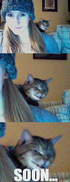 Kitteh - Meme subido por kittykattkatito :) Memedroid