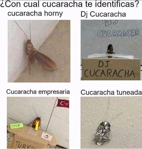 Cucaracha tuneada c: - Meme subido por Peruano_refacha :) Memedroid