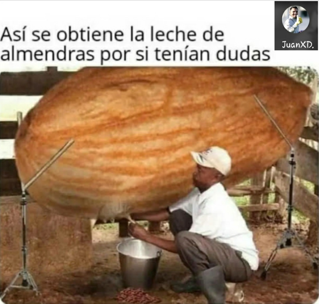 Últimos memes :) Memedroid