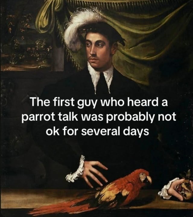 The best Parrot memes :) Memedroid