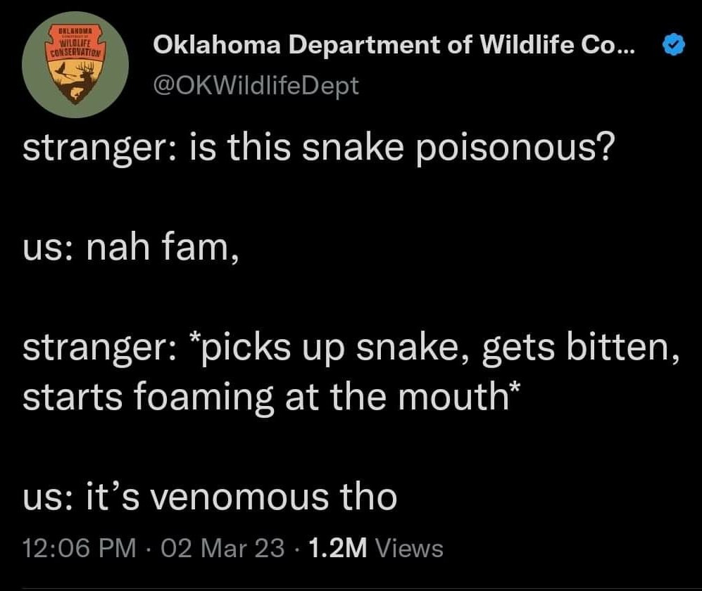 There's a difference between the two - Meme by audilover23 :) Memedroid