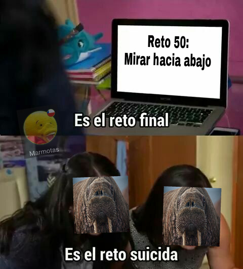 Morsas - Meme subido por Marmotas :) Memedroid