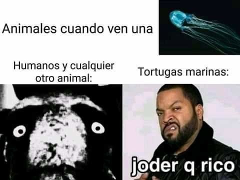 Joder q rico - Meme by ELCACTUS :) Memedroid