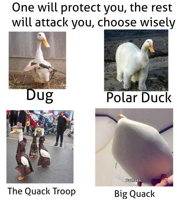 Choose Your Fighter Meme Template