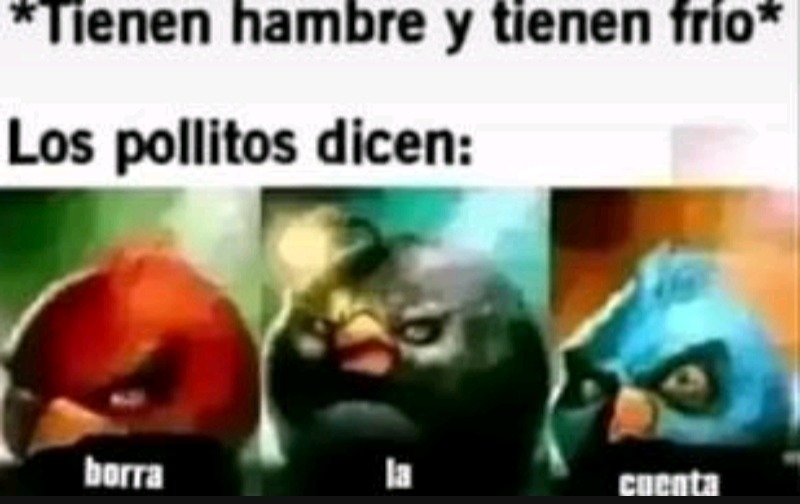 Memes D Pollitos El Pollito Pio Meme By Elmat :) Memedroid