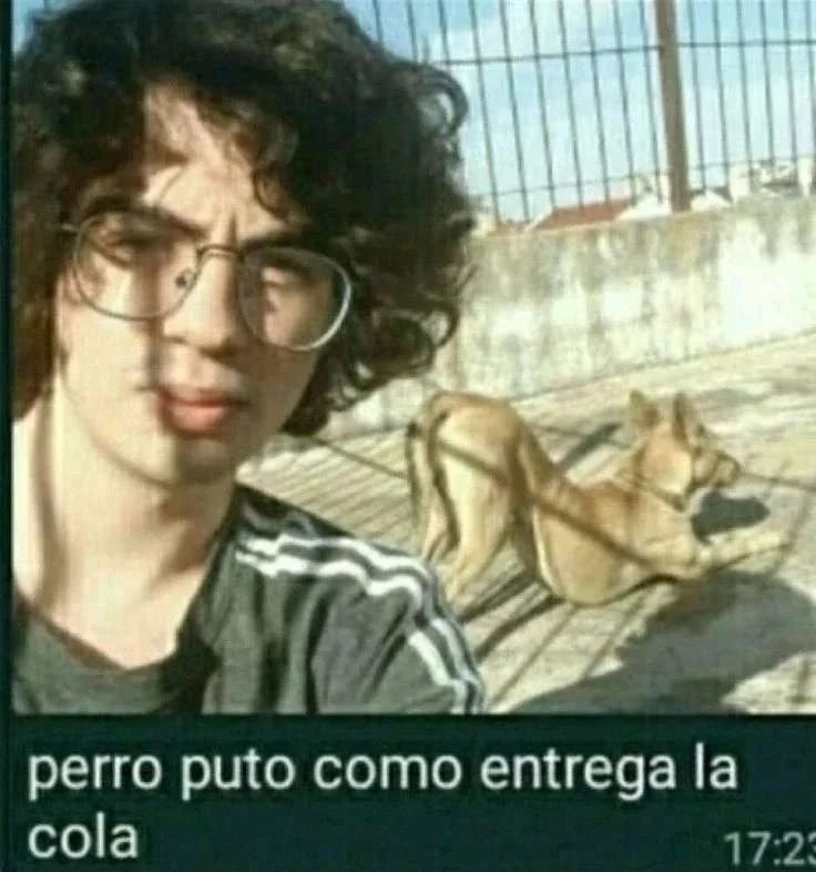 Perro - Meme subido por Sandro916 :) Memedroid