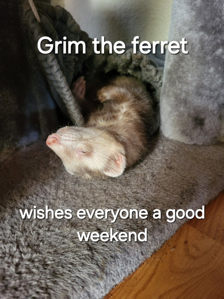 The Latest Memes :) Memedroid