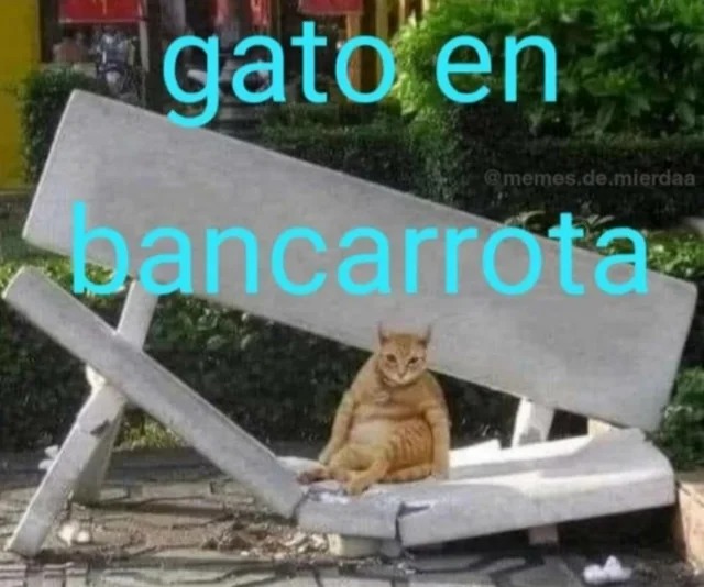 Últimos memes :) Memedroid