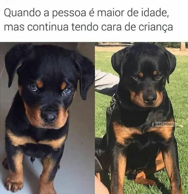 Posso ver seu rg ? - Meme by JoseaneElizabety :) Memedroid