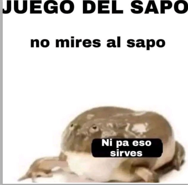 Top memes de Sapo en español :) Memedroid