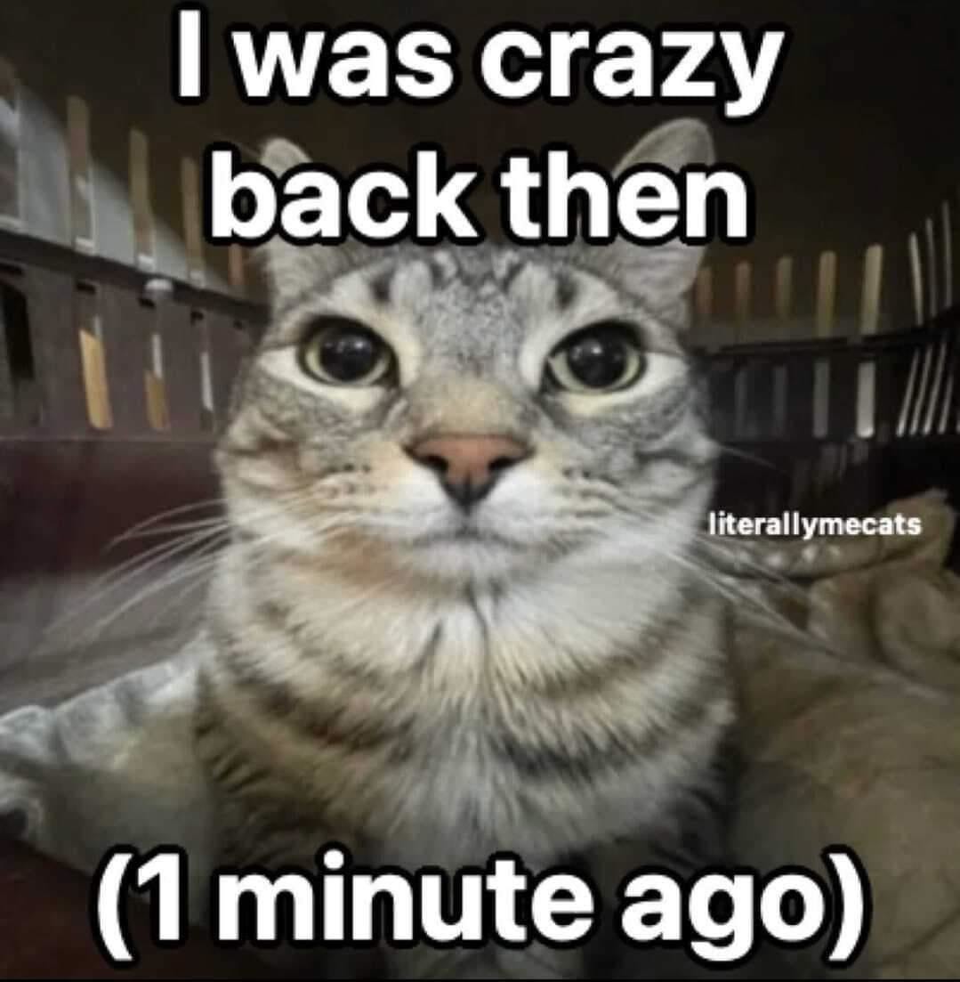 The Latest Memes :) Memedroid