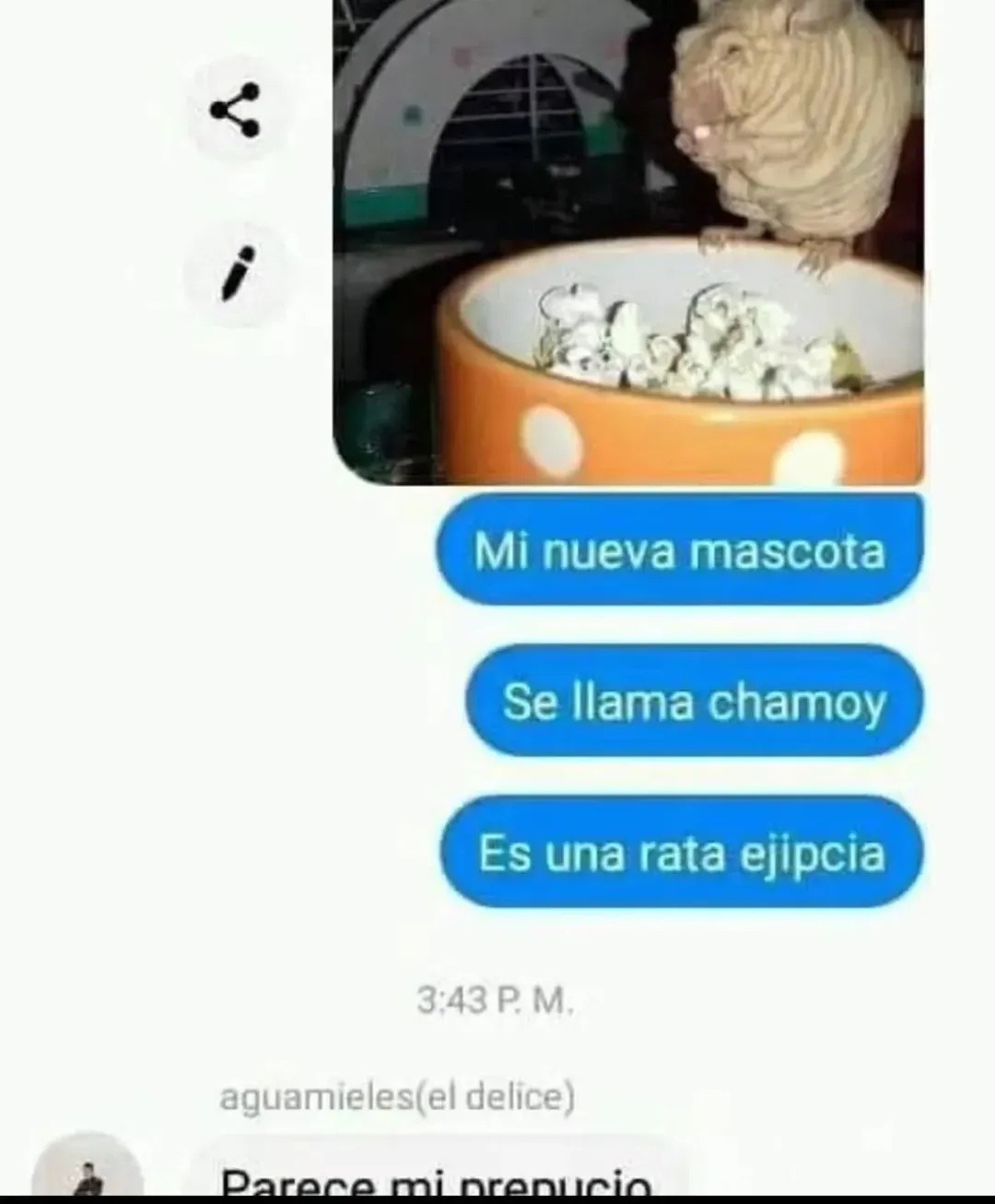 Top memes de Ratas en español :) Memedroid