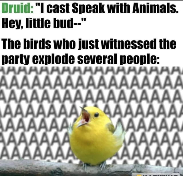 The Best DnD Memes :) Memedroid