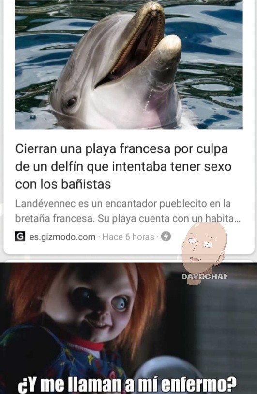 WTF - Meme subido por Davochan :) Memedroid