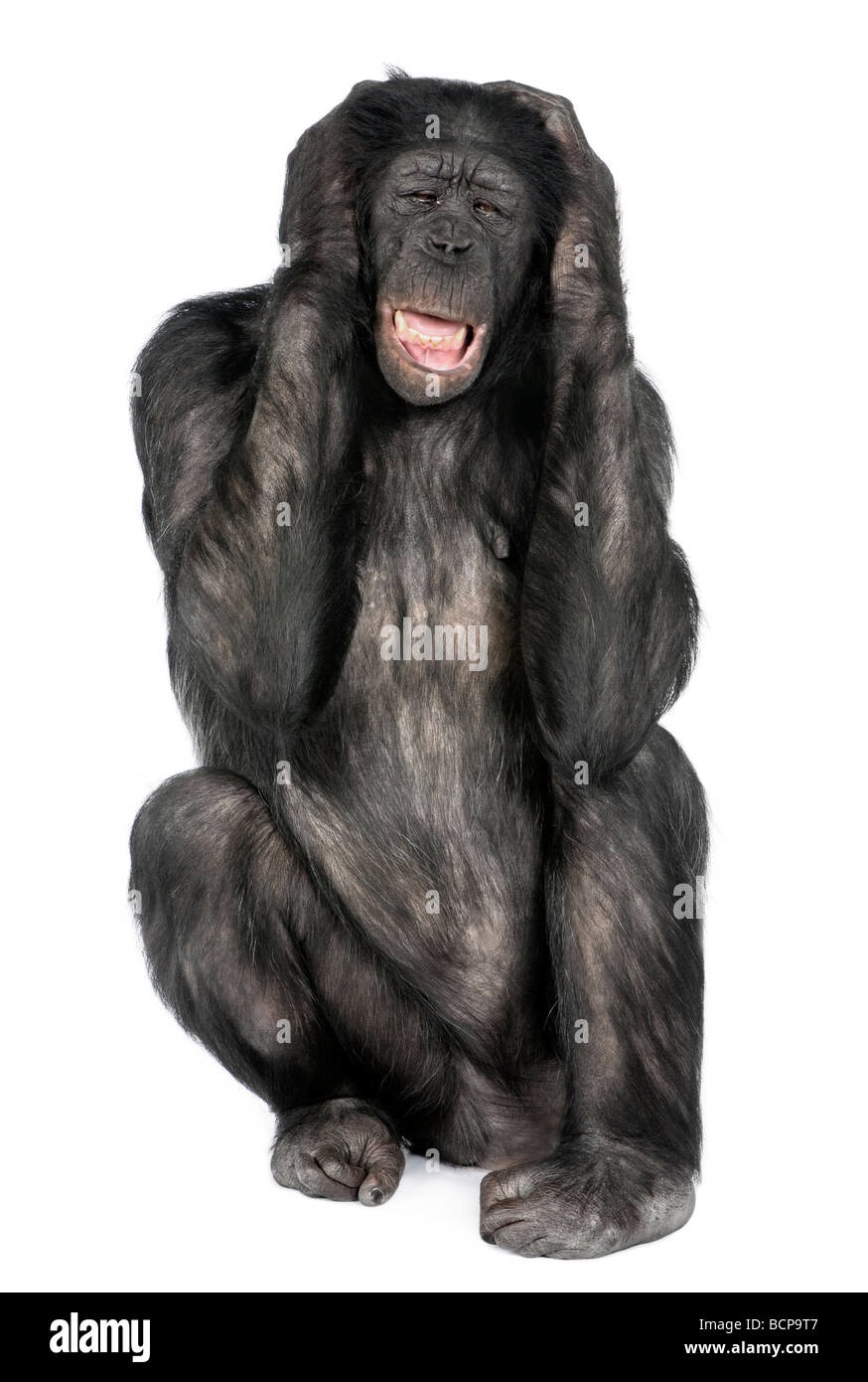 desesperación - Meme subido por Mexocolate :) Memedroid