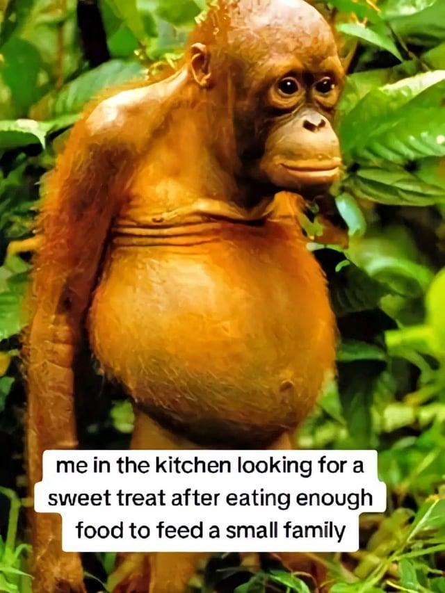 The best Kitchenraids memes :) Memedroid