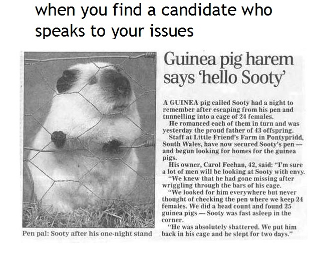 Stop the oppression - Meme by Justwannalol :) Memedroid