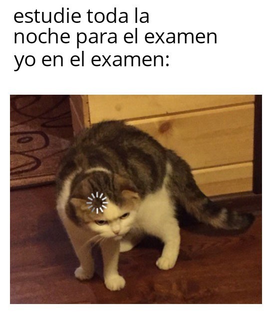 Eso es verdad - Meme subido por Memecreator360 :) Memedroid