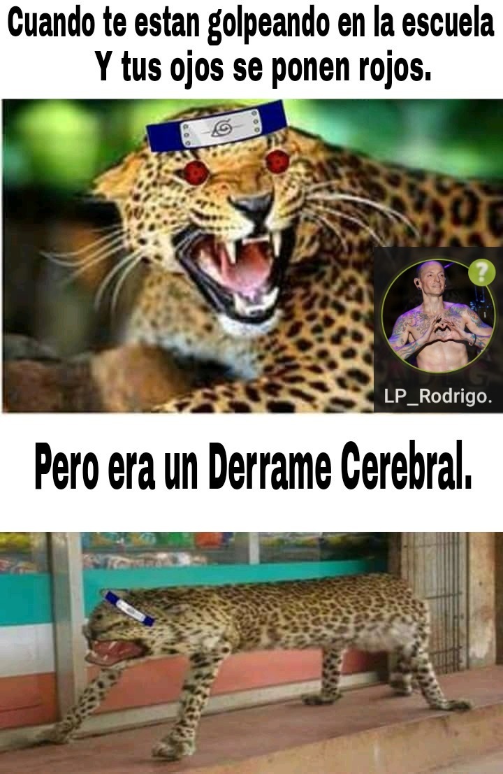 El titulo tuvo un Derrame. - Meme subido por LP_Rodrigo. :) Memedroid