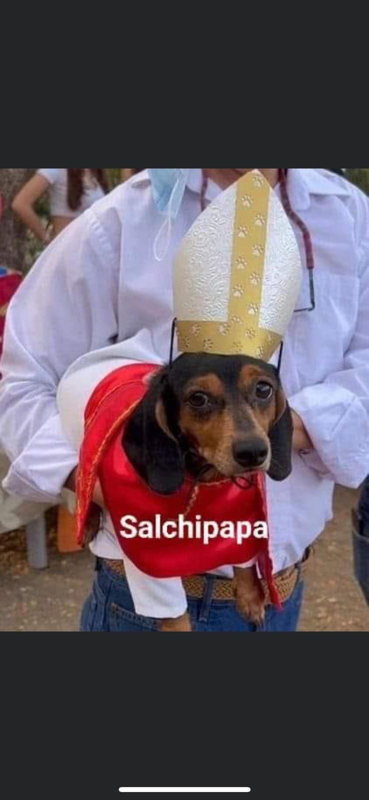 Salchipapa - Meme by Deuxgrim :) Memedroid