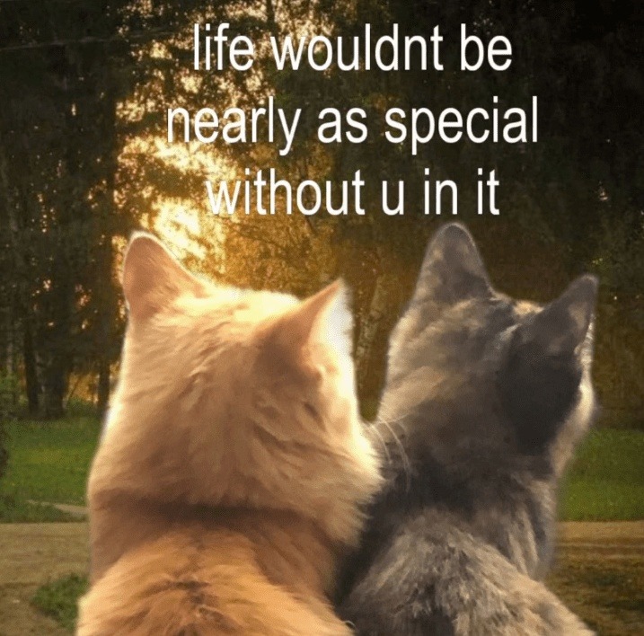 The best Connection memes :) Memedroid