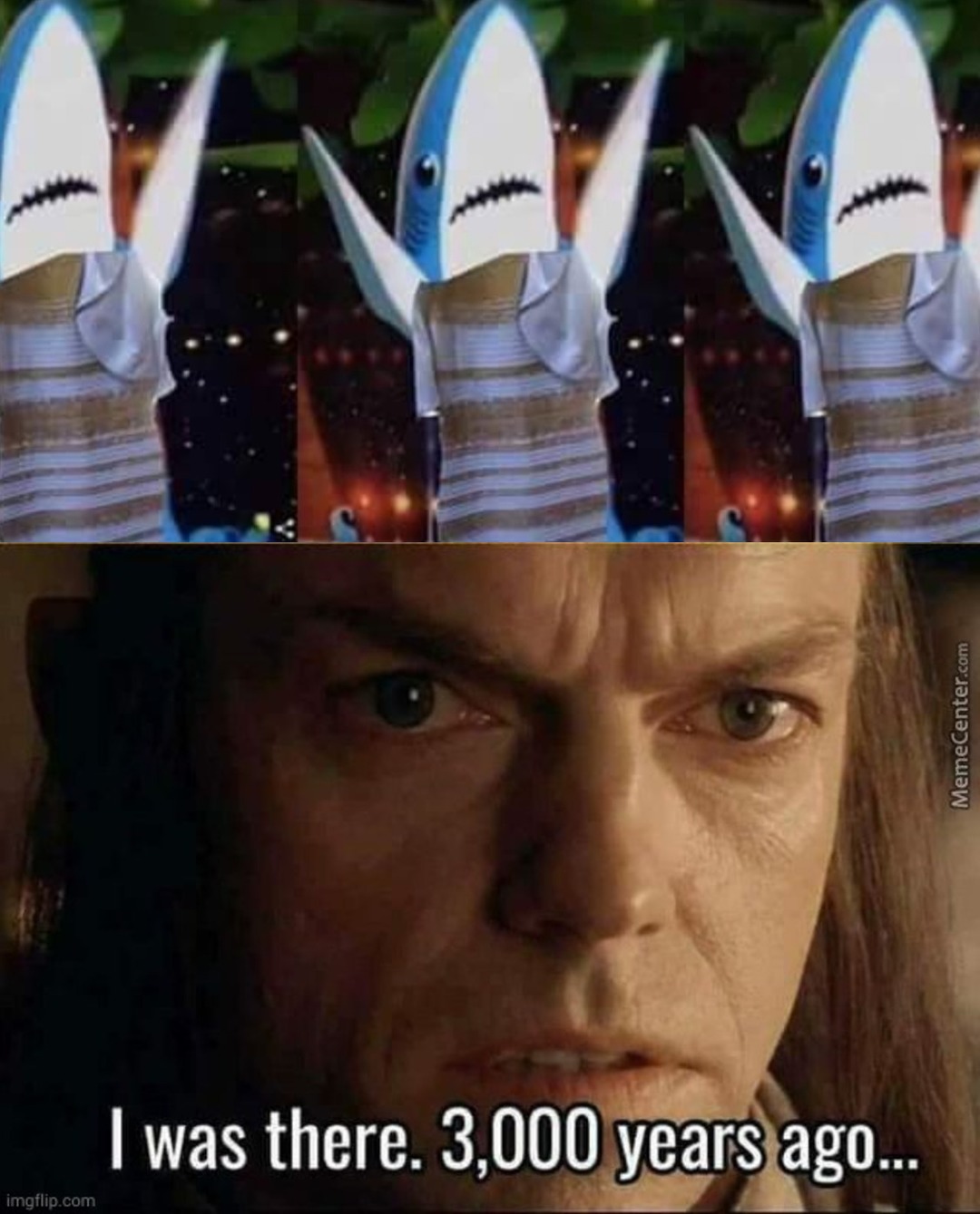 Latest memes / New memes :) Memedroid