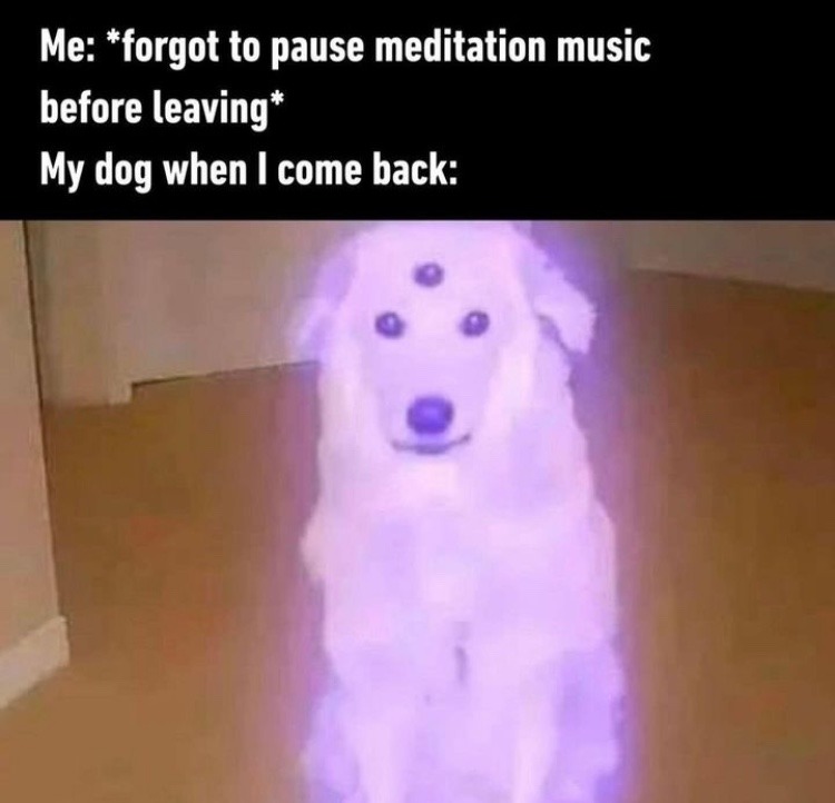 The best Meditation memes :) Memedroid