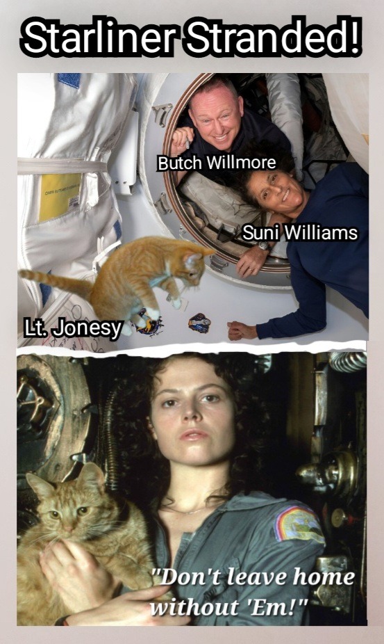 The Best SpaceX Memes :) Memedroid