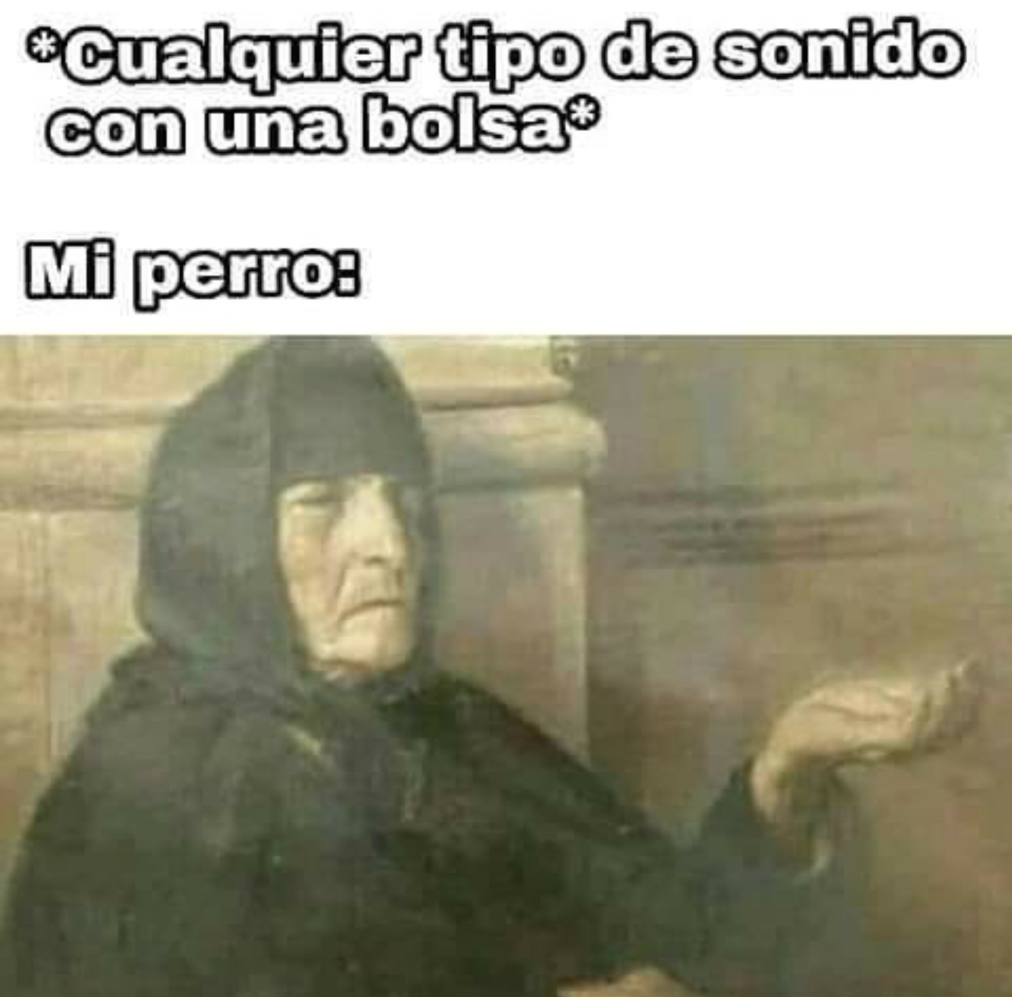 Perritooooooooooooo - Meme subido por Vice_xD :) Memedroid