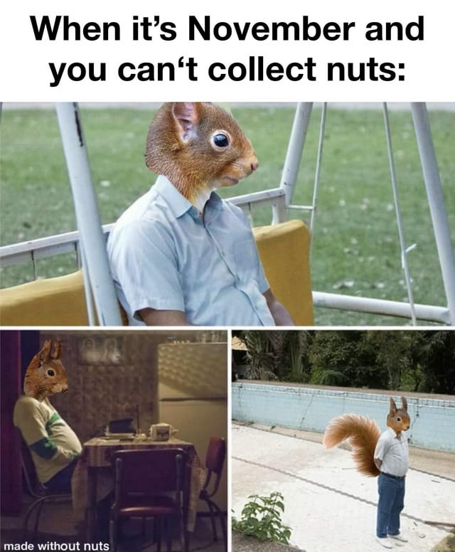 Latest memes / New memes :) Memedroid