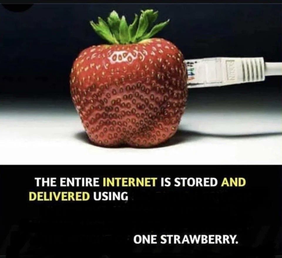 Latest memes / New memes :) Memedroid