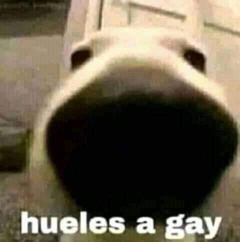 Claudio_16... :) Memedroid