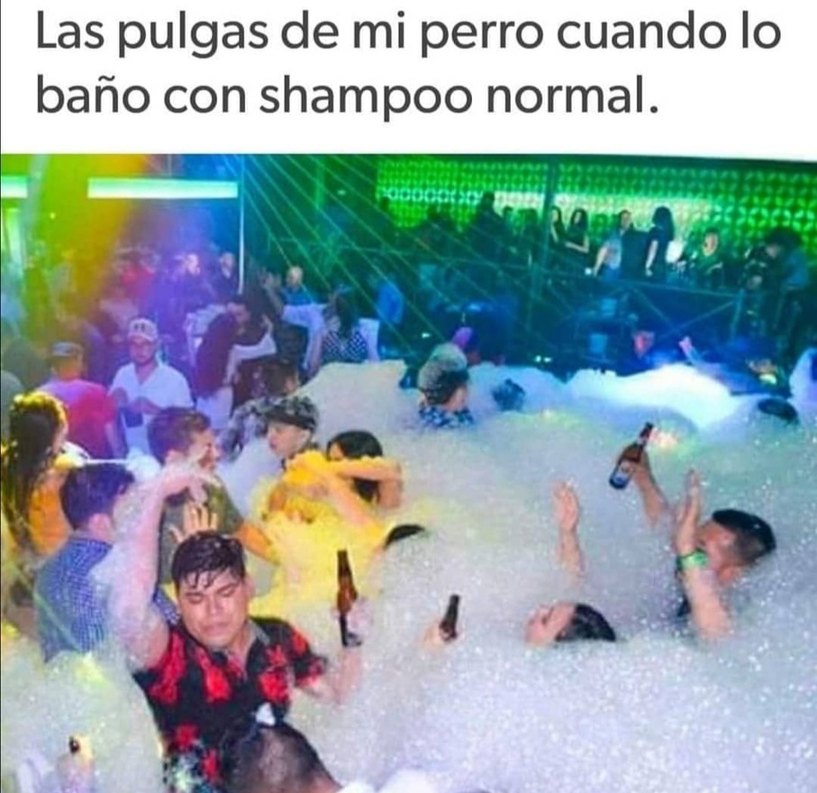 Party Hard - Meme subido por BenjaLD2 :) Memedroid