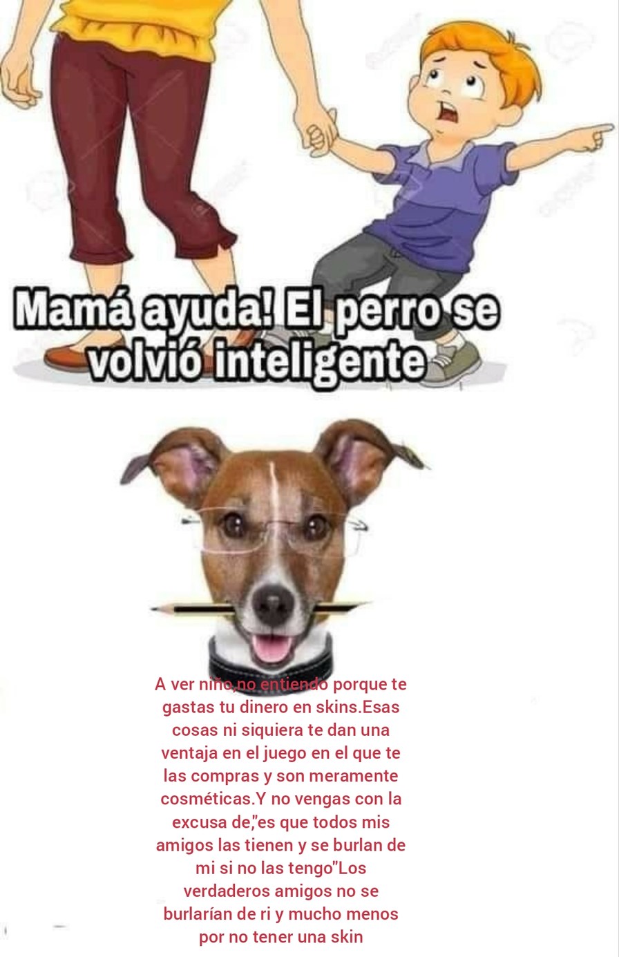 Perro Inteligente skins XD - Meme subido por ShootyMcXbox :) Memedroid