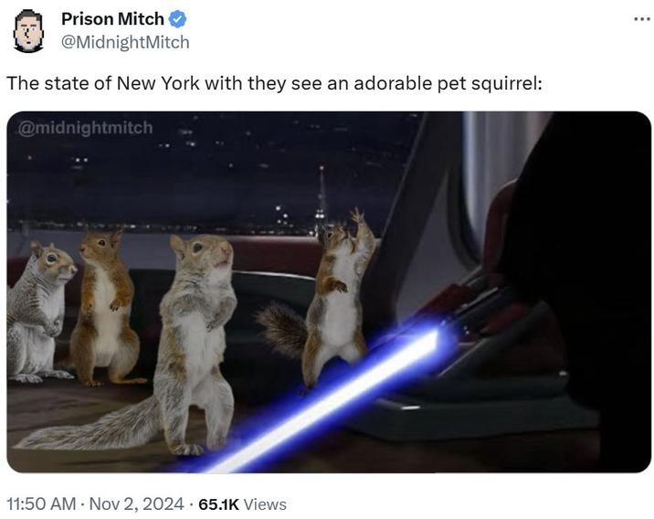 Squirrel Meme