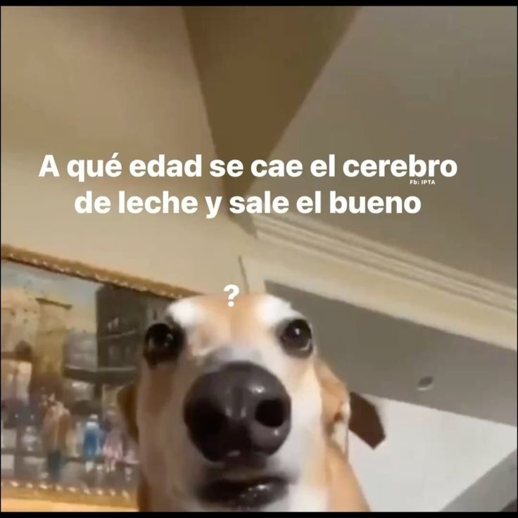 Top memes de Edad en español :) Memedroid