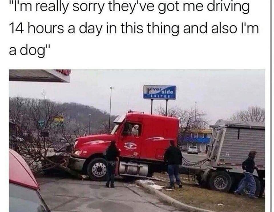 Title - Meme by Grumpasaurus :) Memedroid