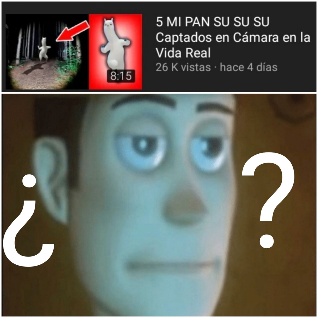 Mi pan sususu - Meme subido por JasonUltra99 :) Memedroid