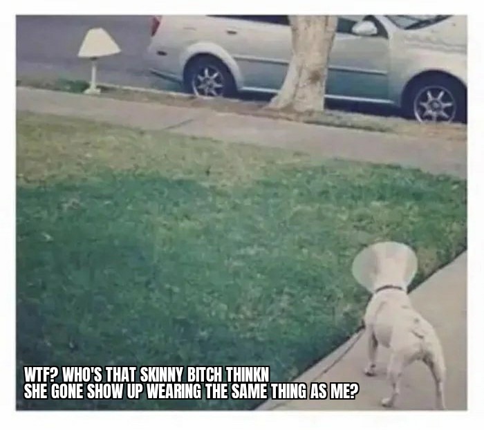 Eff her, Rosy. She's wearin it wrong - Meme subido por Che_D_Lay_sir ...