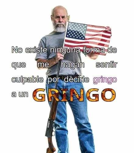 Wannabe Gringo Memes