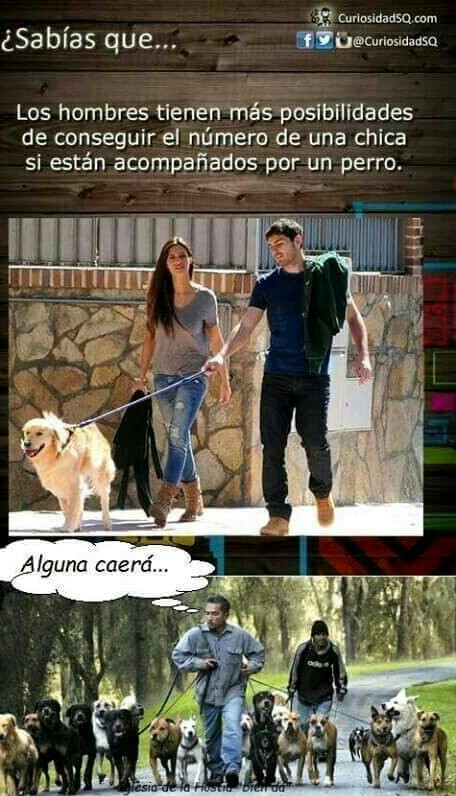 Tu gfe ya tiene a tu gfa por perra! - Meme subido por Mr.Cuantificado08 ...