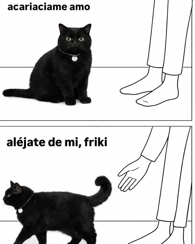 Top memes de Mascota en español :) Memedroid