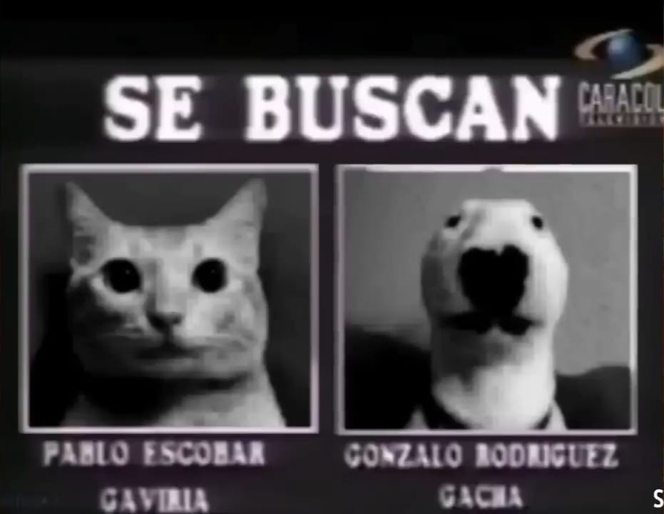 Los Últimos Memes :) Memedroid