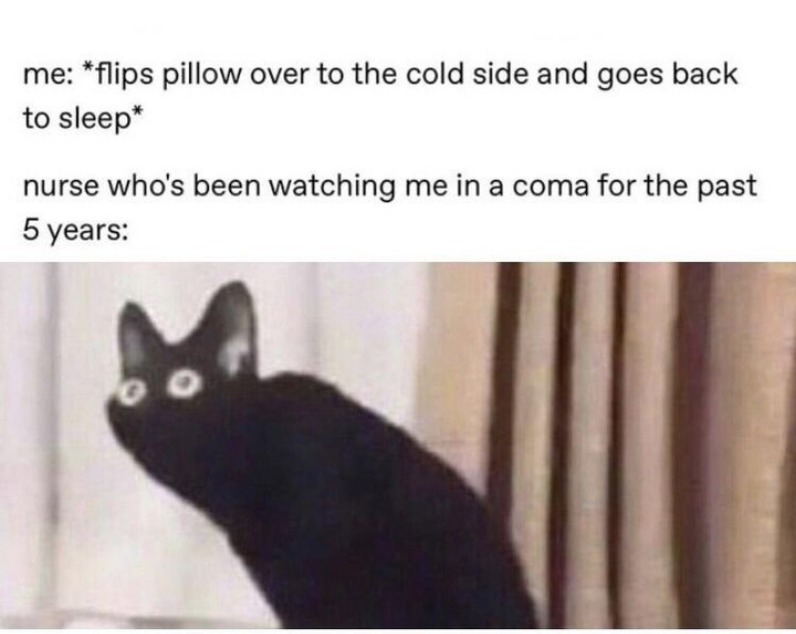 The best Coma memes :) Memedroid